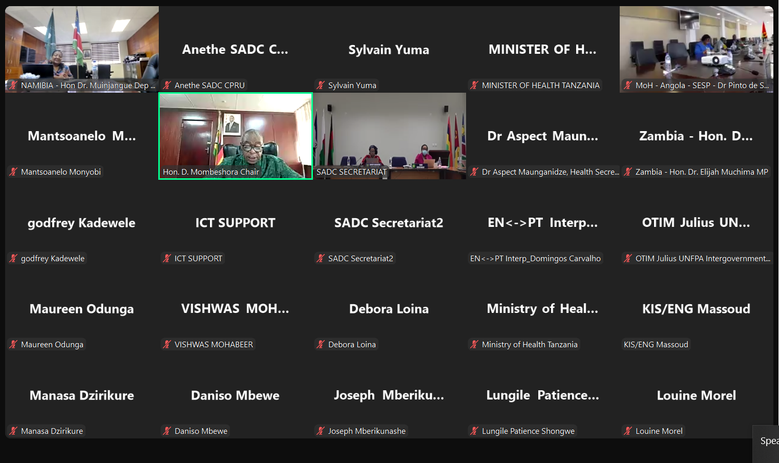 SADC Ministers of Health and Ministers responsible for HIV and AIDS holds extraordinary meeting ...